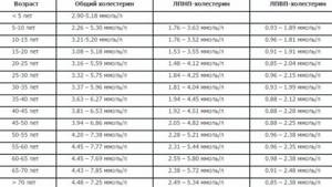 Как измерить холестерин в домашних условиях: популярные приборы
